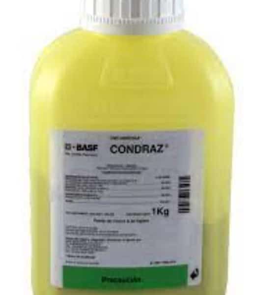 Cabrio C, fungicida para cultivo de vegetales. 800g - Rancho El Cuervo