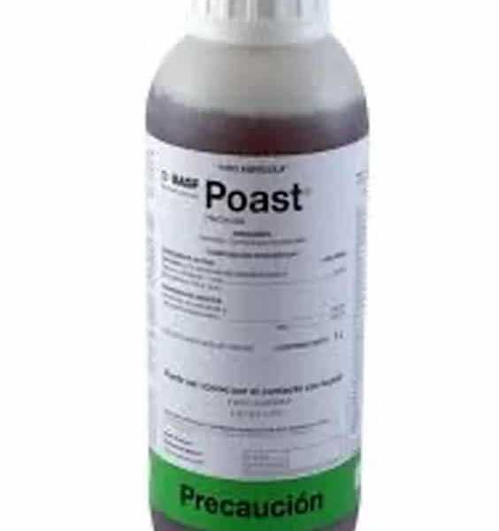 Regent 4 SC, insecticida para maíz, papa y agave. 1L - Rancho El Cuervo